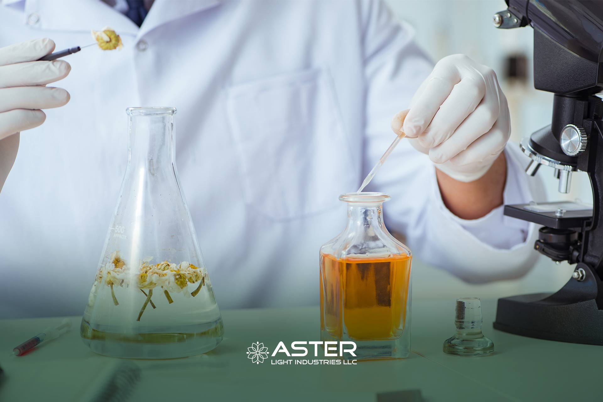Aster Light Blog | Perfume Industry Insights