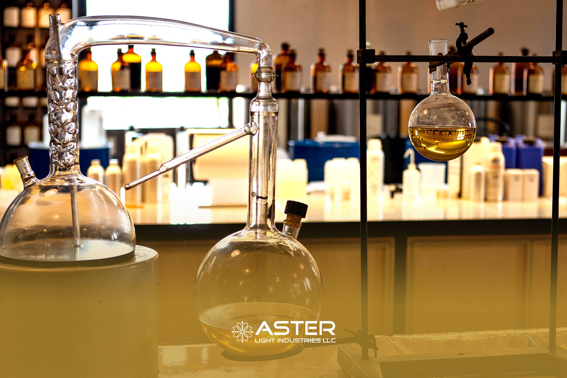 Aster Light Blog | Perfume Industry Insights